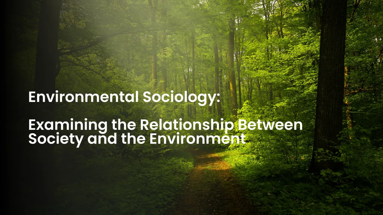 Environmental Sociology: Examining the Relationship Between Society and ...