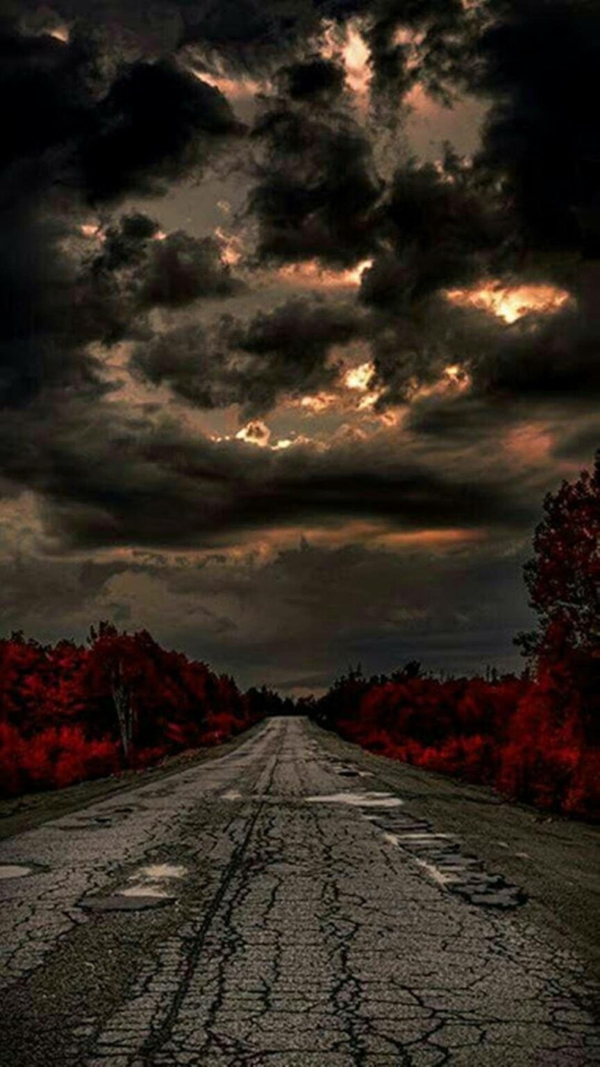 The Vanishing Path: A Short Mystery Story - Riya's Blogs