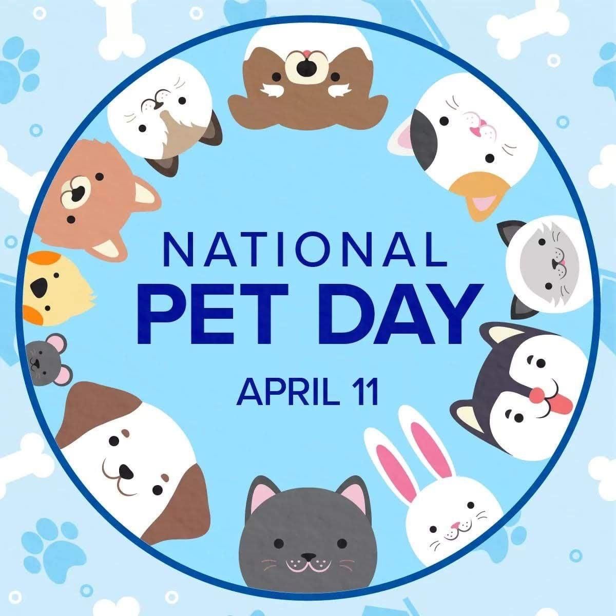 National Pet Day (April 11): Celebrating the Love, Loyalty, and Joy Our ...
